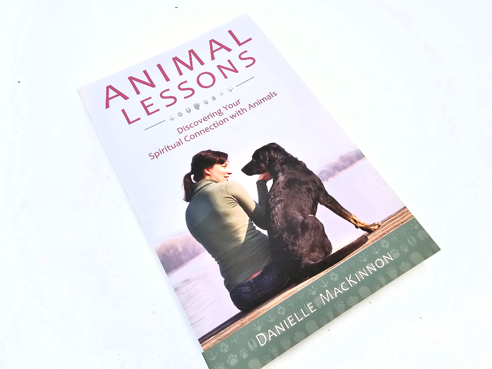 Animal Lessons (Danielle MacKinnon) - Hello Indigo Halo