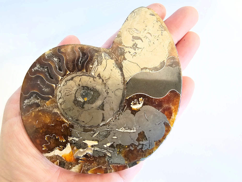 Ammonite Fossil E (202g) Large Pyrite Inclusions - Hello Indigo Halo