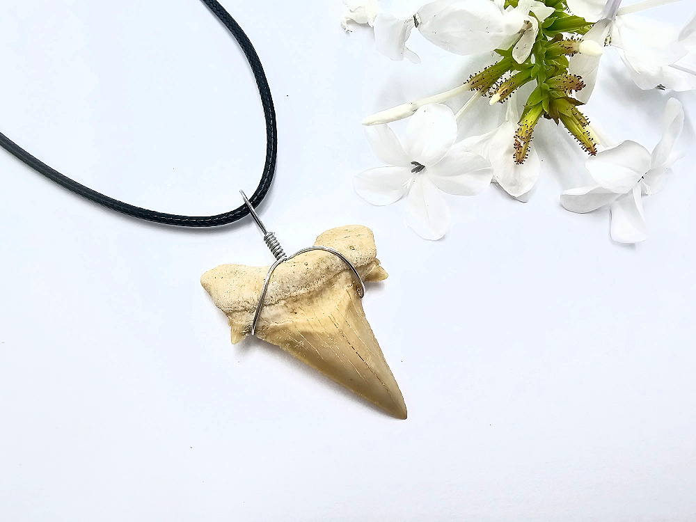 Shark Tooth Necklace - Hello Indigo Halo